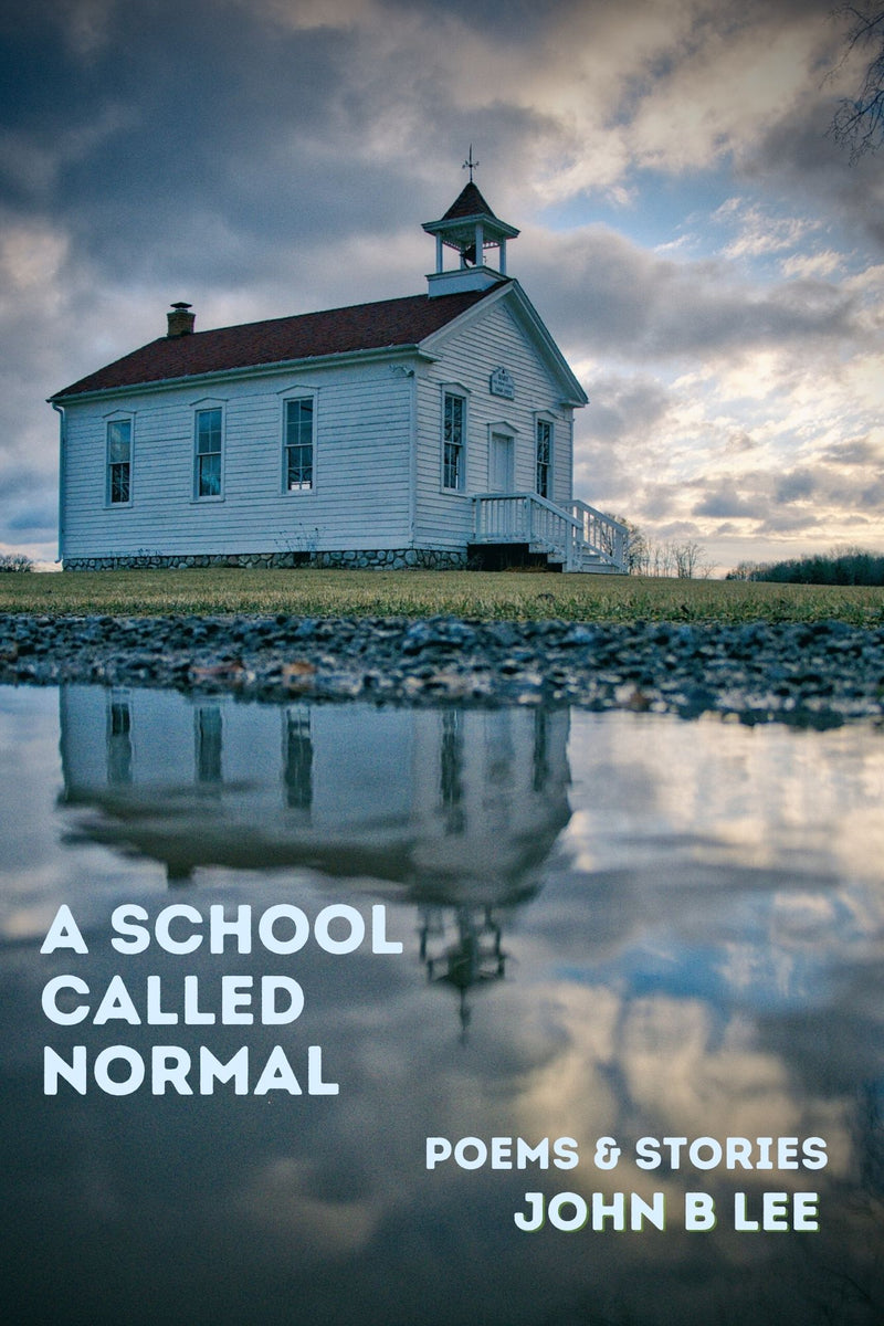 A School Called Normal – Mosaic Press